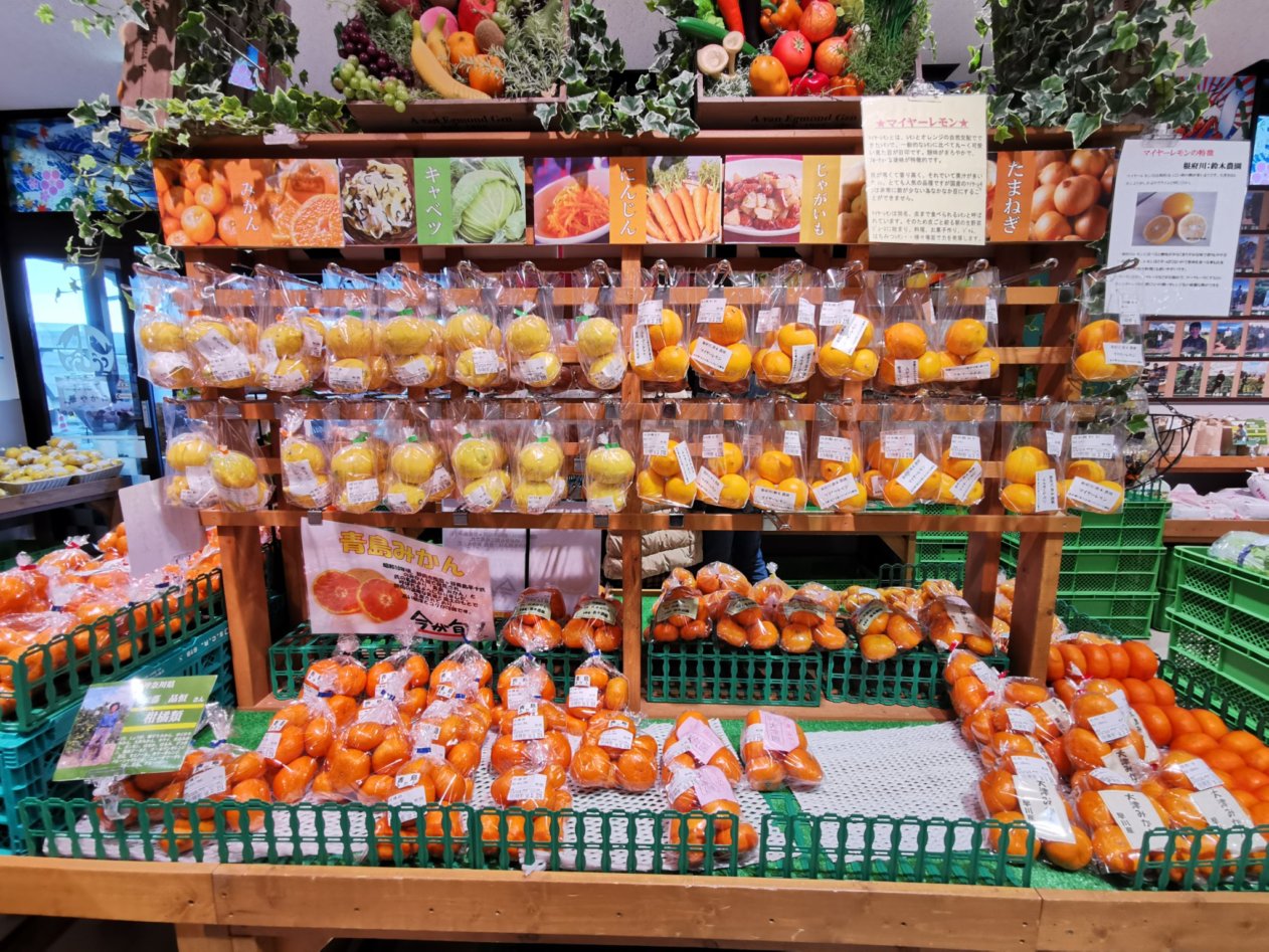 漁港の駅 TOTOCO小田原おすすめお土産｜元地元民がひいき目ナシで徹底解説 | 並ばない旅