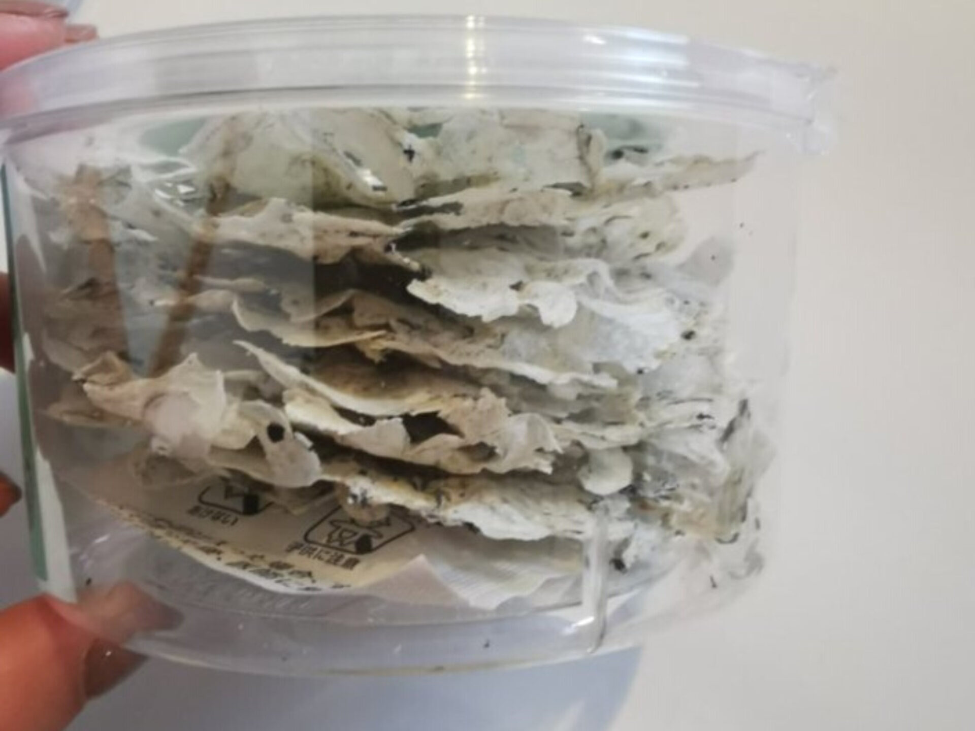 漁港の駅 TOTOCO小田原おすすめお土産｜元地元民がひいき目ナシで徹底解説 | ゆるとりっぷ渋たび